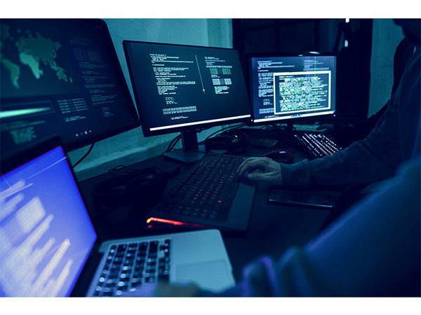 Botnet Storm: o malware que tinha o poder de deixar um país sem ...